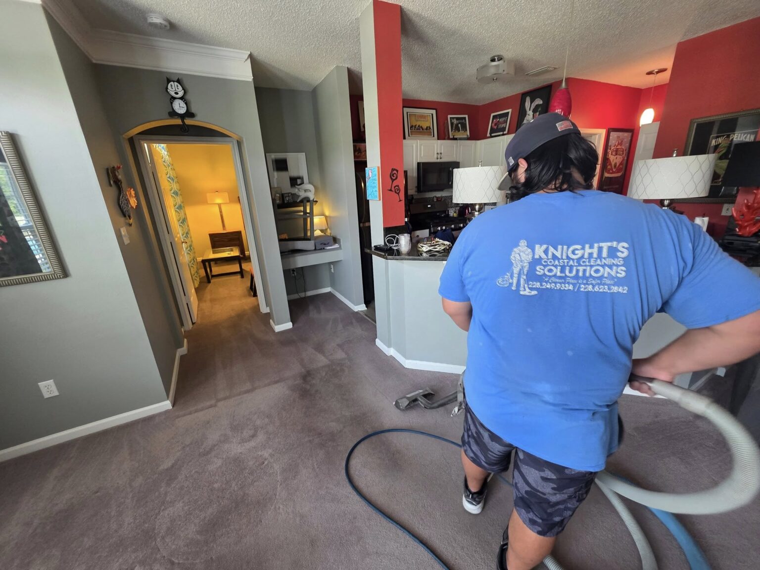 How to Remove Urine Stains from Carpet: Complete Step-by-Step Guide ...